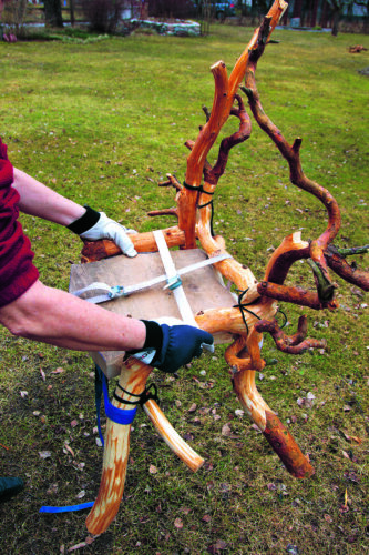 DIY Pine Branch Chair - Grit